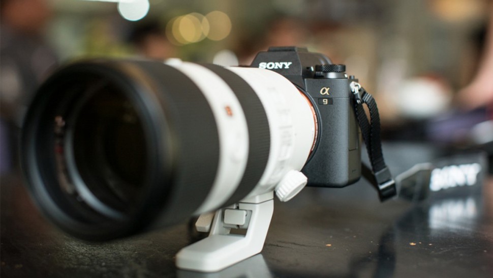 Sony A9 ថត លើ គោក ក៏ លឿន ថត ក្នុង ទឹក ក៏ ច្បាស់ តម្លៃ មិន អាច តថ្លៃ ...