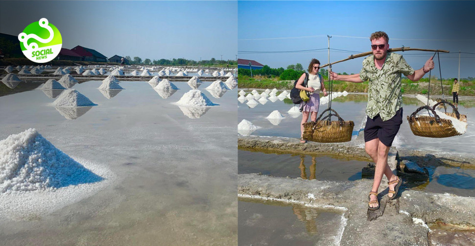 វាលស្រែអំបិលមួយនៅខេត្តកំពត នឹង ក្លាយជាតំបន់ទេសចរណ៍ថ្មី ដោយ ស្ថិតនៅ ក្បែរក្រុង និងជាប់តំបន់ ...