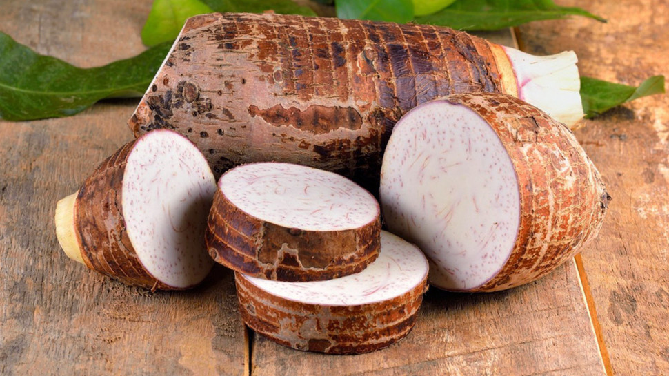 សំខាន់! ត្រួសៗ ៣យ៉ាង បញ្ជាក់ថា ហូបមើមត្រាវច្រើន មានប្រយោជន៍សុខភាព ...