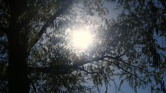 មាន អ្វី កើតឡើង បើ សិន ជា ភ្នែក អ្នក មើល ទៅ ពន្លឺ ព្រះអាទិត្យ ដោយ ...